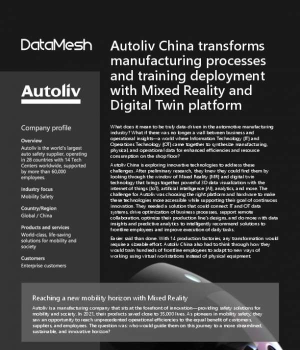 DataMesh AutoLiv Case Study | Data-Smart Computers